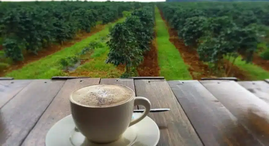 10 Best Tourist Attractions in Laos